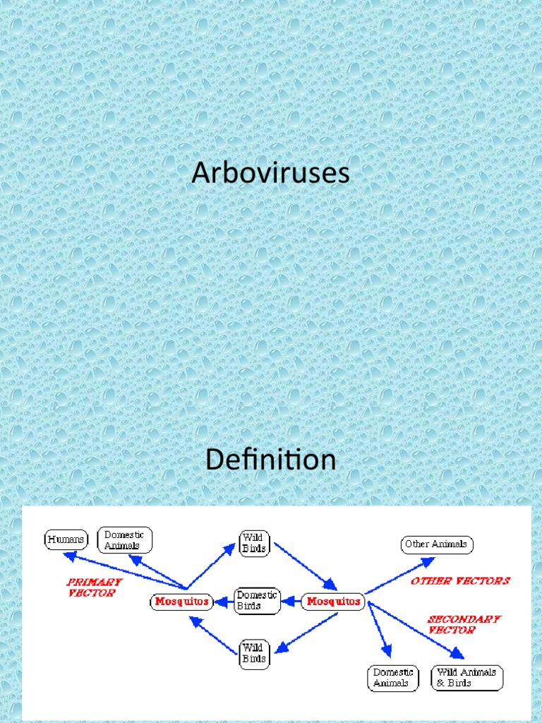 Arboviruses Lecture | PDF | Infection | Yellow Fever