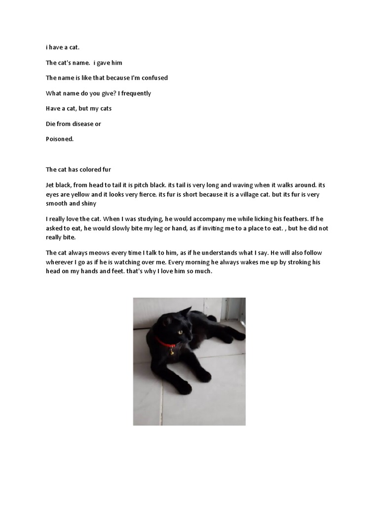 Ku Mempunyai Seekor Kucing | PDF