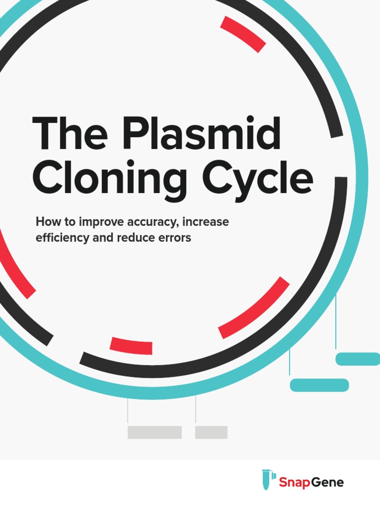 Enhancing Plasmid Cloning Techniques | PDF | Molecular Cloning | Plasmid