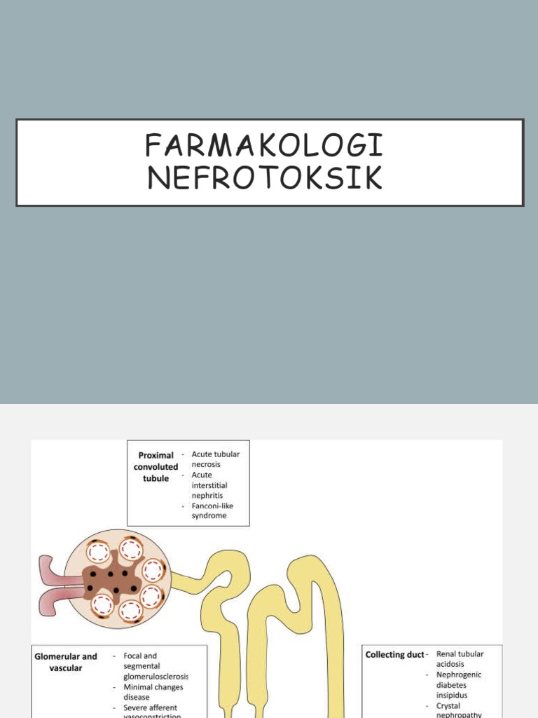 Obat Obat Nefrotoksik | PDF