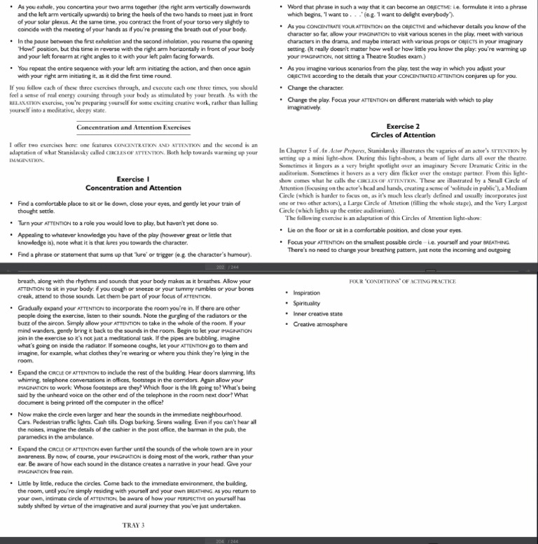 Bella Merlin Circles of Attention | PDF