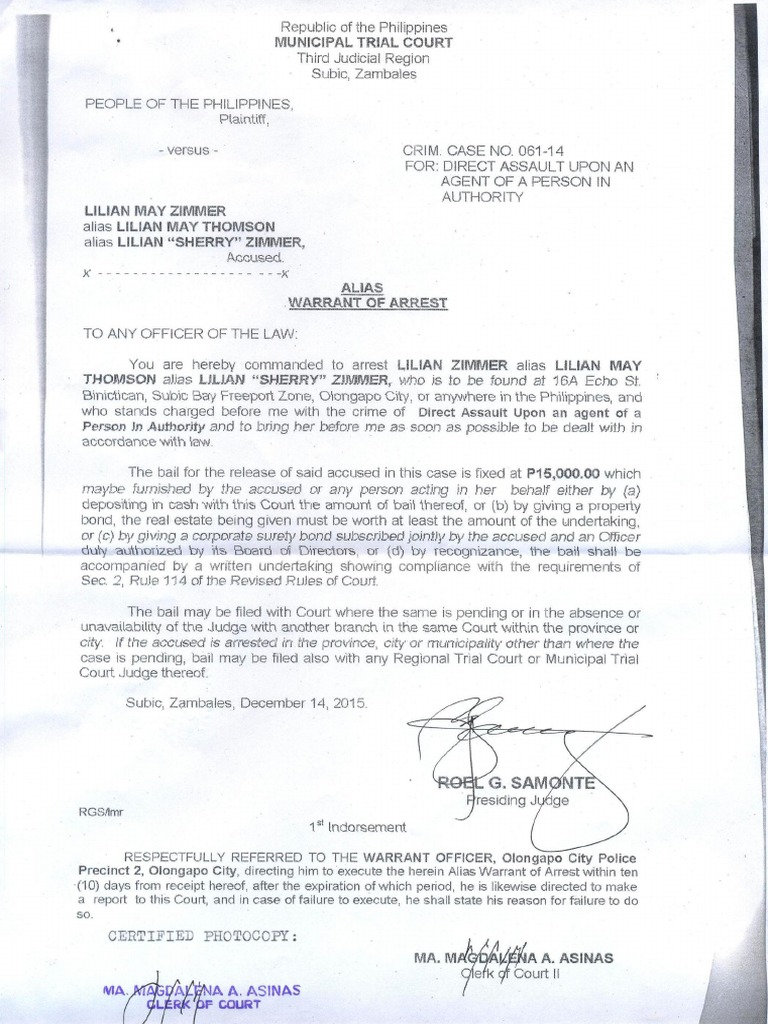 Alias Warrant of Arrest | PDF