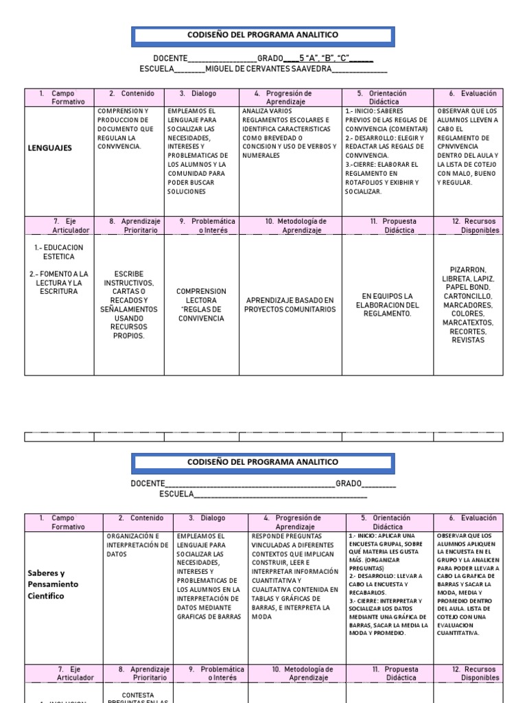 5° Codiseño Del Programa Analitico | PDF | Inclusión (Educación) | Evaluación