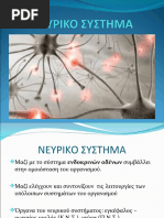 TO ΟΥΡΟΠΟΙΗΤΙΚΟ ΣΥΣΤΗΜΑ-ΑΝΑΤΟΜΙΑ | PDF