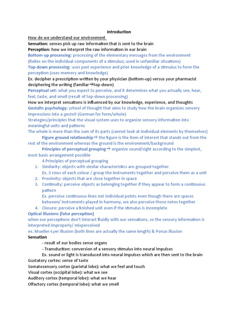 Chp.5 Sensation & Perception | PDF