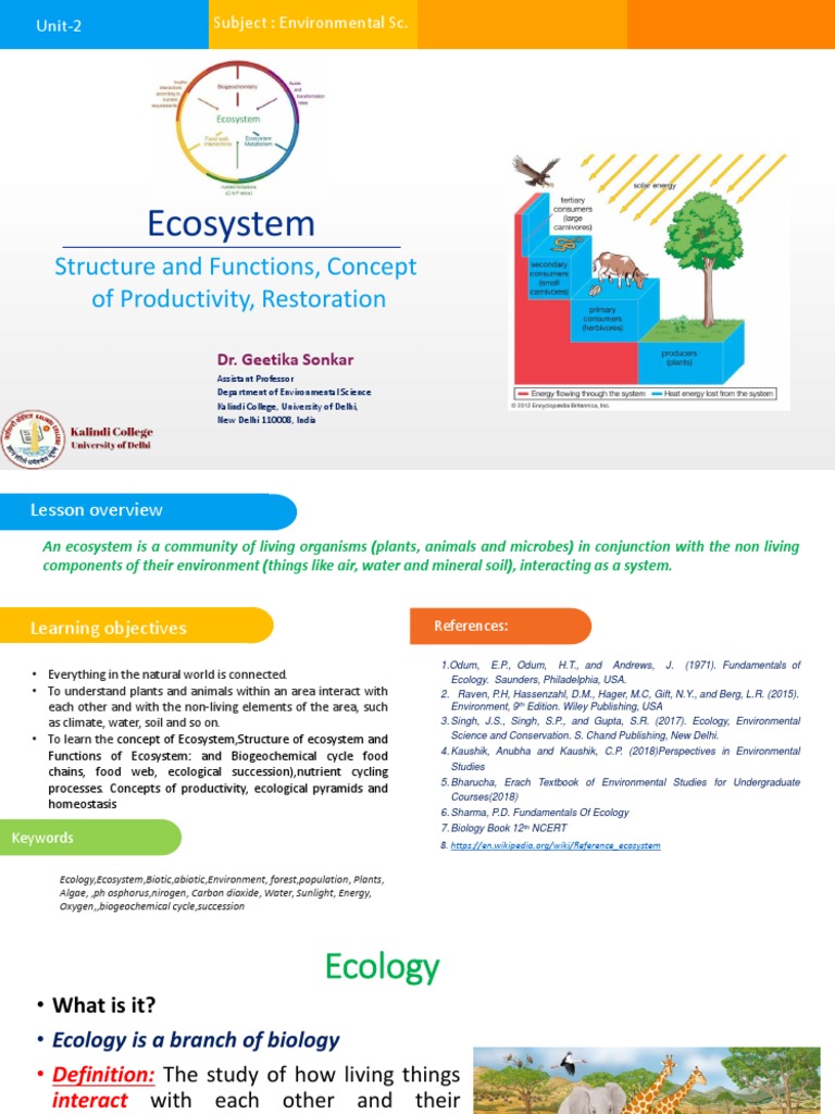 Unit 2 Ecosystem | Download Free PDF | Food Web | Ecosystem