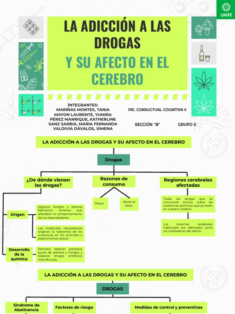 La Adicción a Las Drogas y Su Afecto en El Cerebro - Grupo 2 | PDF | La dependencia de ...