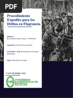 Guia de Consultas Sure Sinap | PDF | Cartografía | Información