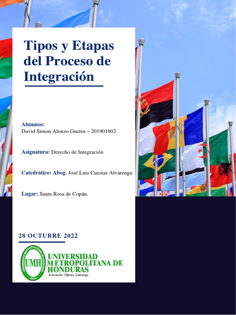 Tipos y Etapas del Proceso de Integración | PDF | Negocios | Política