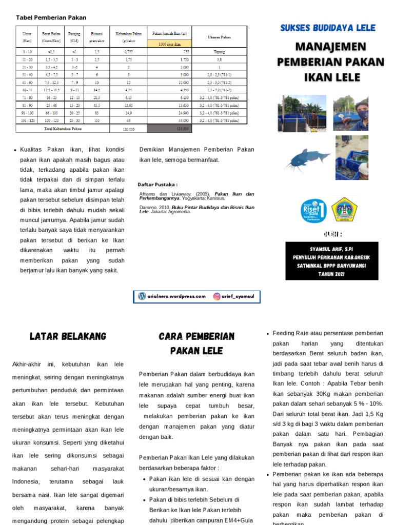 Manajemen Pakan Ikan Lele yang Efektif | PDF