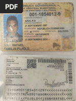 Dni David en Color | PDF