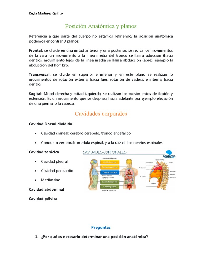 Posición Anatómica, Planos y Cavidades Corporales | PDF