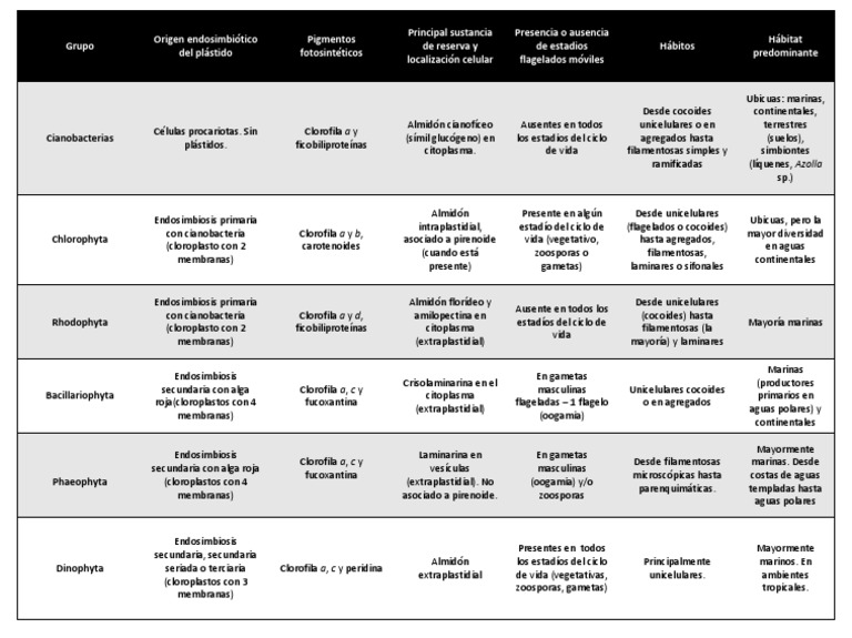 TABLA ALGAS (Ej. 10) Resuelto | PDF | Algas | Cloroplasto