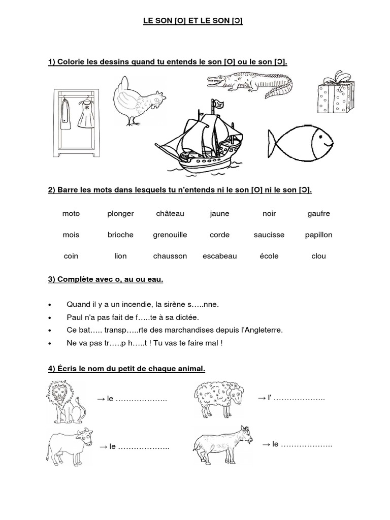 Exercices sur le son O et Ɔ | PDF