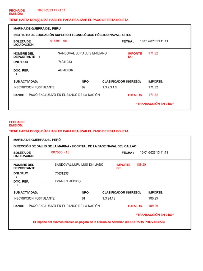 Reporte Boleta Liquidacion | PDF