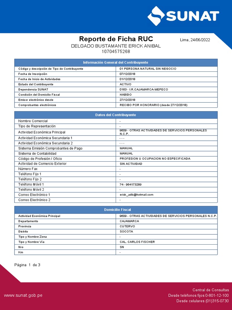 2.-FICHA RUC_DELGADO_BUSTAMANTE_ERICK_ANIBAL | PDF | Teléfonos móviles