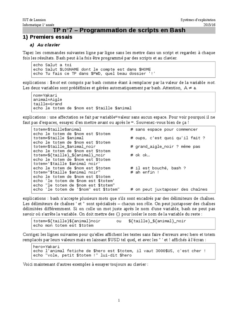TP Bash : Scripts et Variables en Informatique | PDF | Fichier ...