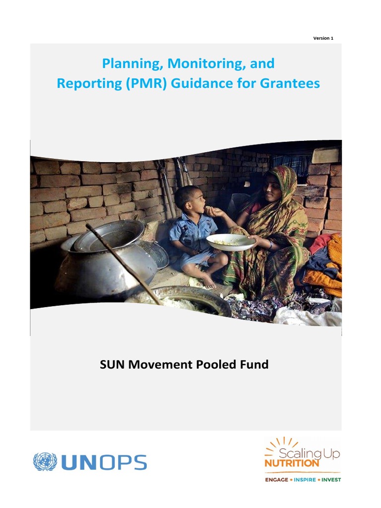 Planning, Monitoring, and Reporting (PMR) Guidance For Grantees | PDF