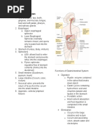 Gastroenterology Terms & Glossary | PDF | Gastrointestinal Tract ...