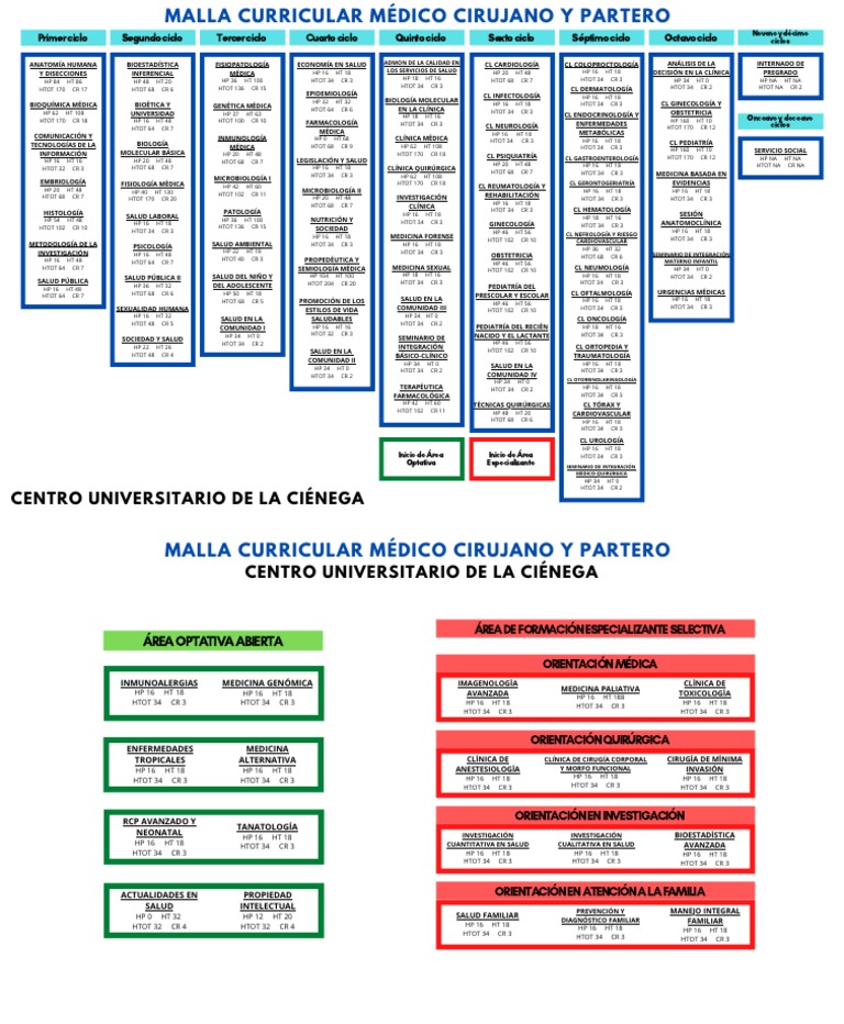 Malla Curricular 1 | PDF | Cirugía | Pediatría