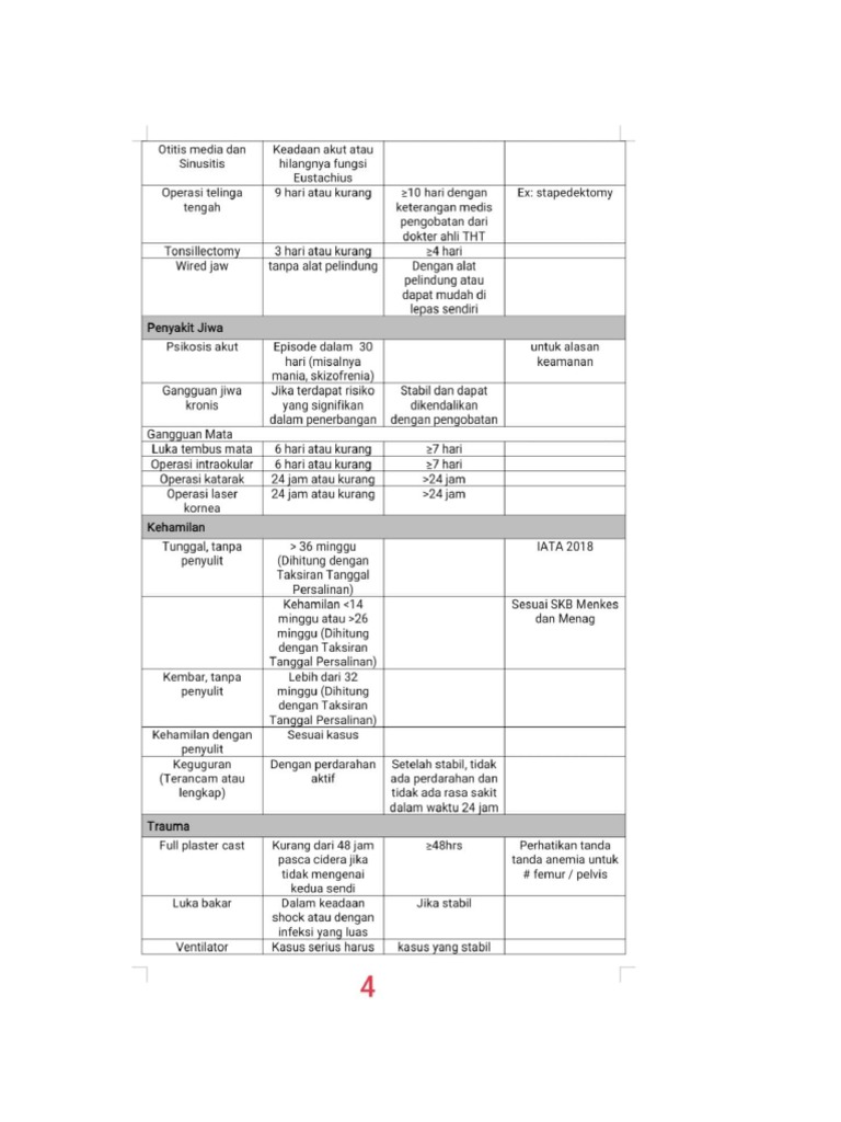 Syarat Laik Terbang | PDF