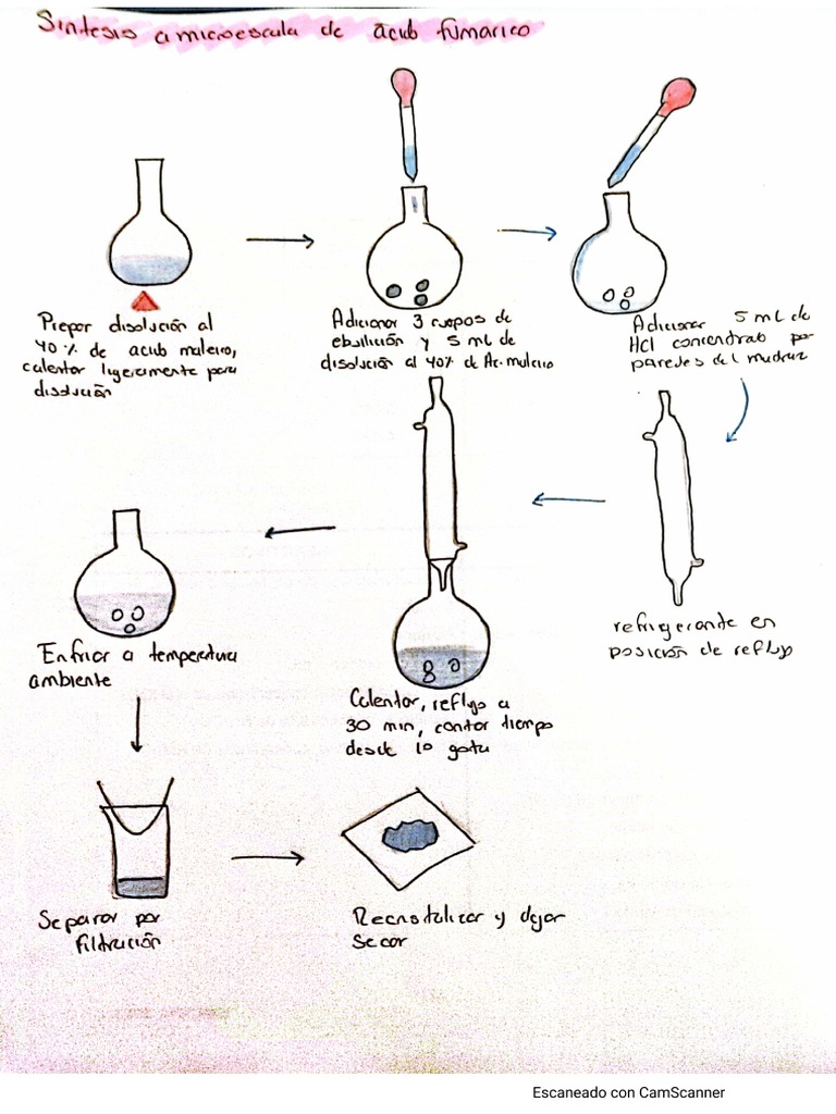 Diagrama Práctica 6 Síntesis de Ácido Fumarico | PDF
