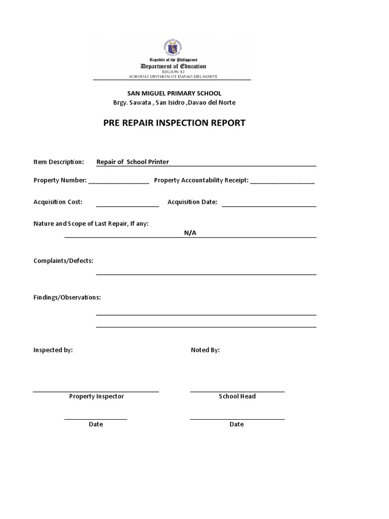 Pre Inspection Report | PDF