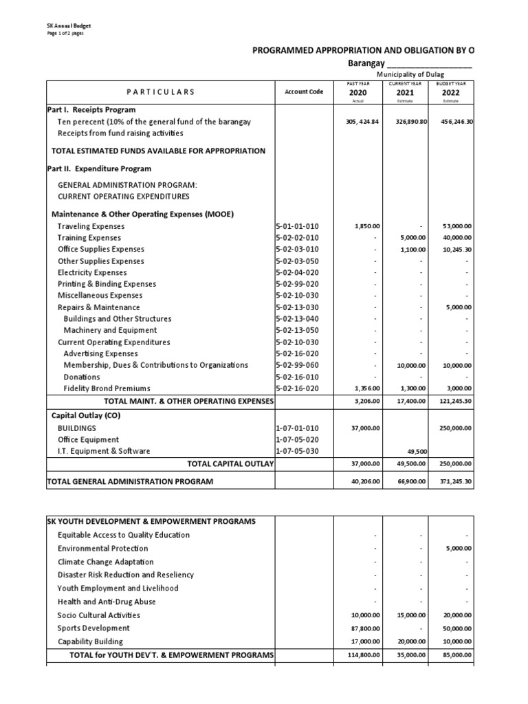 SK Budget Overview for Dulag | PDF | Expense | Economies