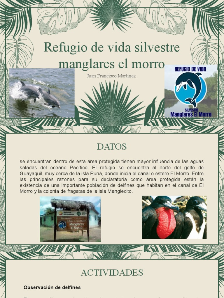 Refugio de Vida Silvestre El Morro | PDF | Ecuador | Clima