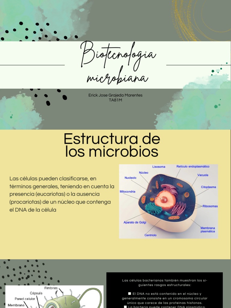 Biotecnologia Microbiana | PDF