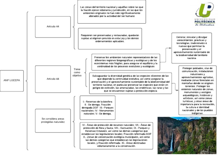 Cuadro Sinoptico ANP | PDF | Biodiversidad | Ecología