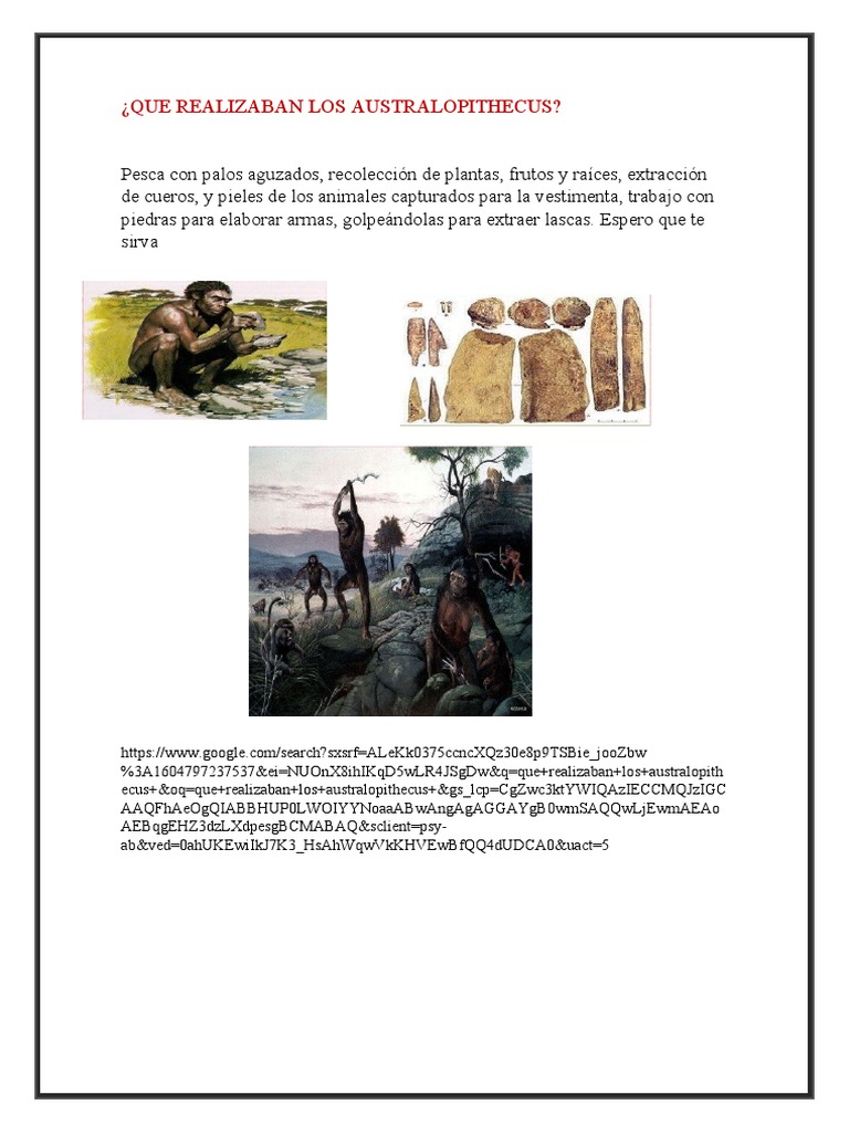 Que Realizaban Los Australopithecus | PDF