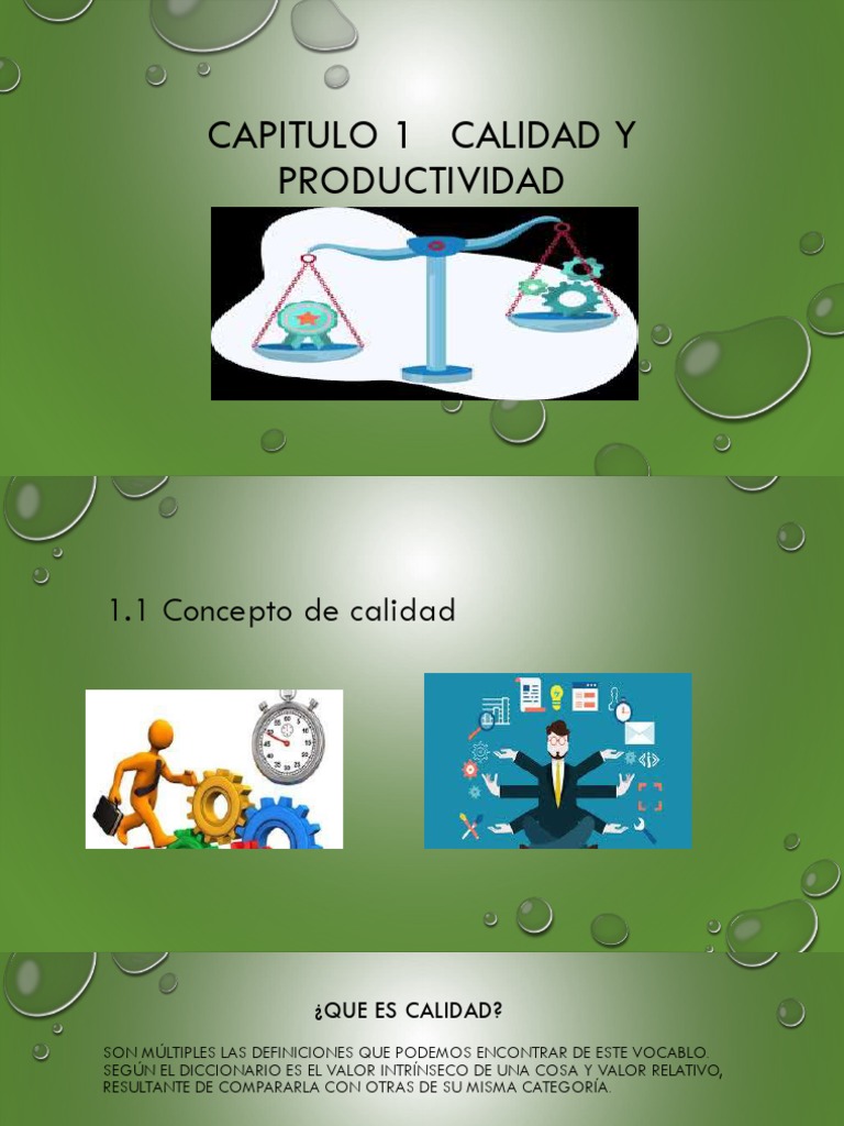 Capitulo 1 Calidad y Productividad Presentacion 1 | PDF