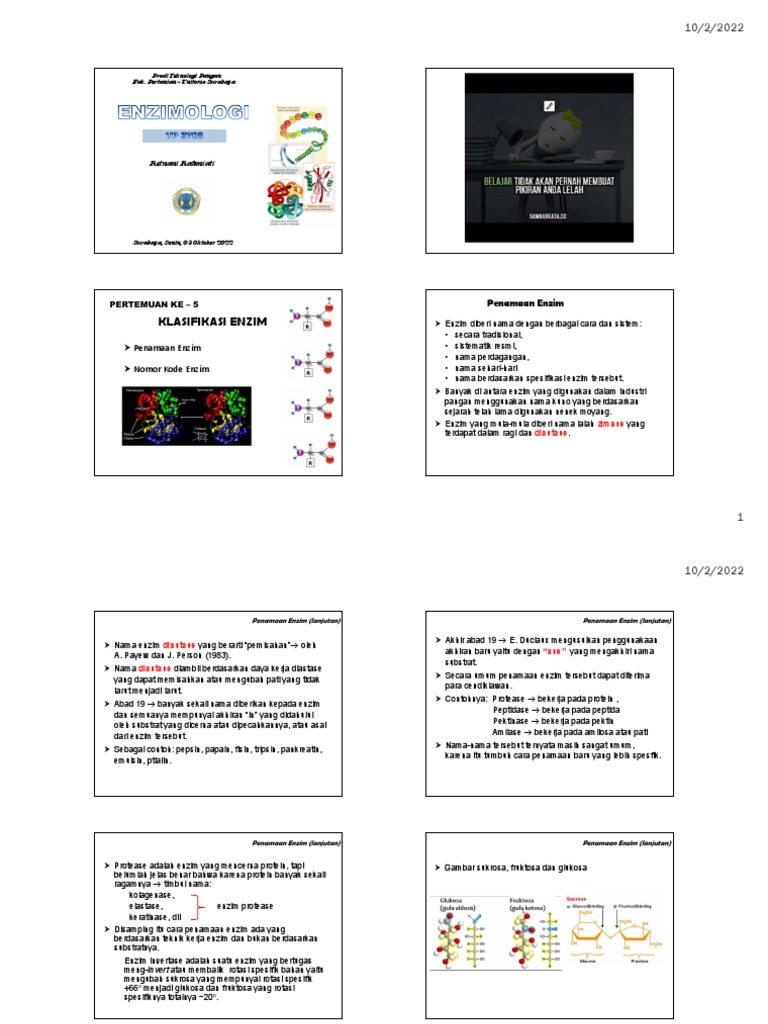 Pert 5 (Klasifikasi Enzim) | PDF