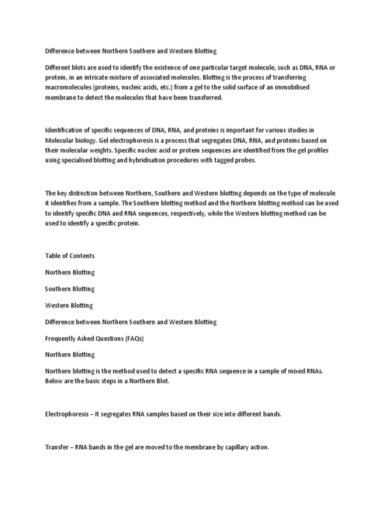 Comparing Northern, Southern, Western Blots | PDF | Blot (Biology ...
