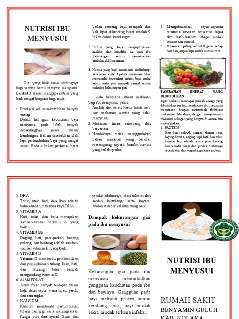 Leaflet Nutrisi Ibu Menyusui | PDF | Kesehatan Holistik | Teknologi & Rekayasa