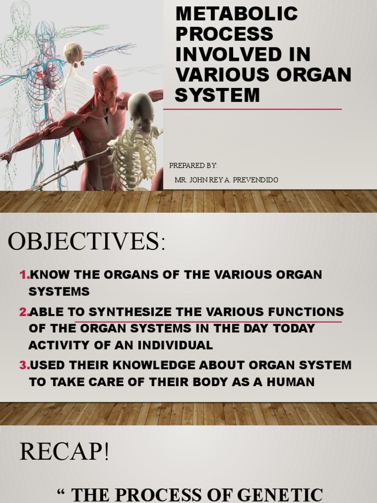 Metabolic Process Involved in Various Organ system-DEMO SUAVE | PDF