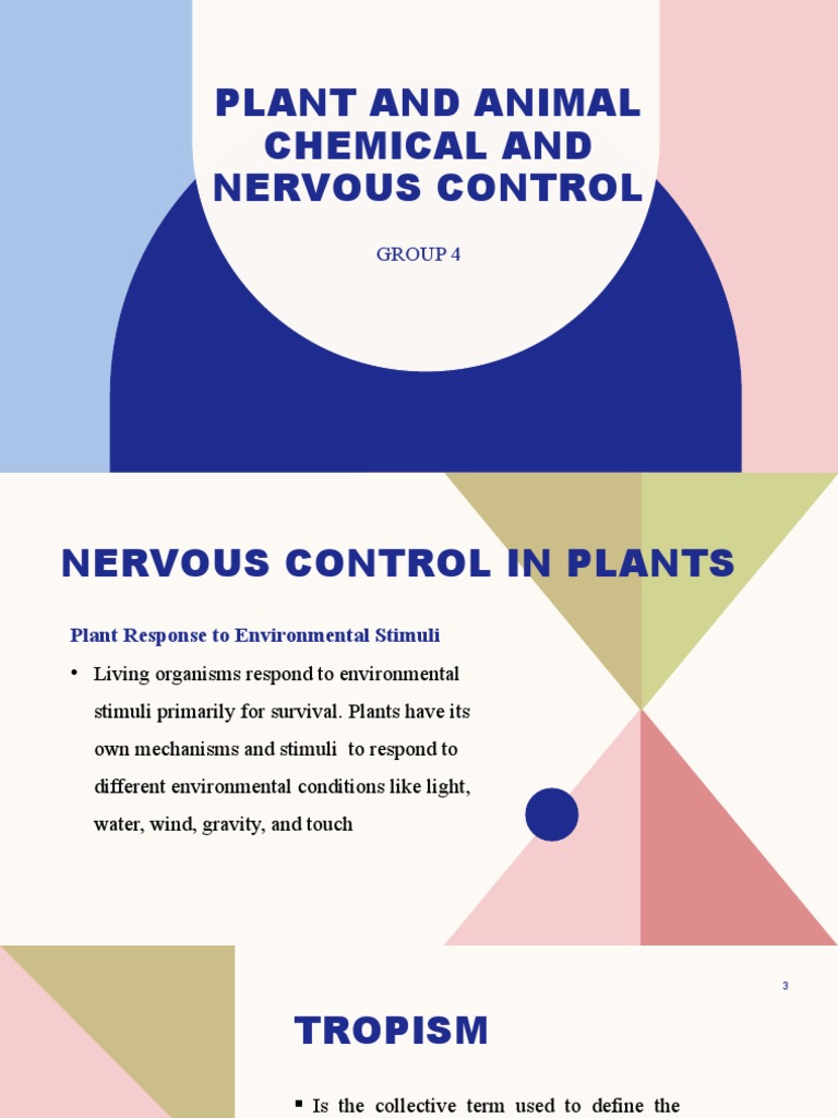 Plant and Animal Control Mechanisms | PDF | Nervous System | Plant Hormone
