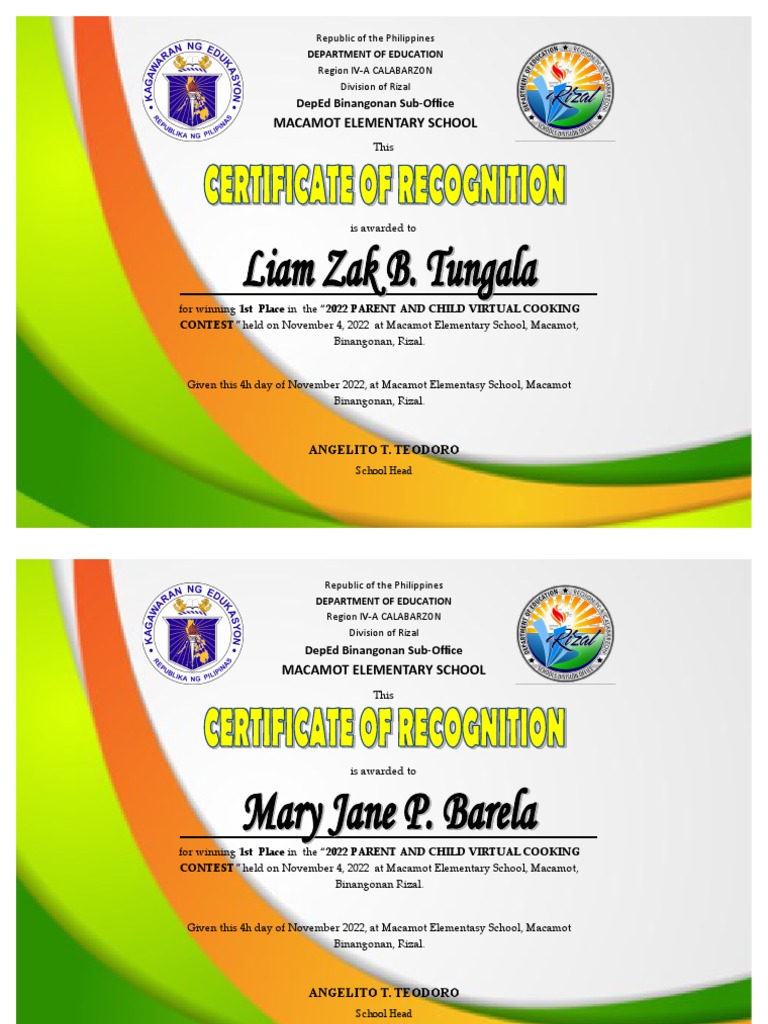 2022 Wellness Certificate | PDF | Primary Education | Educational ...