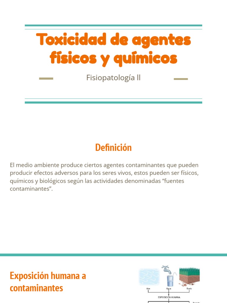 Toxicidad de Agentes Fisicos y Quimicos | PDF | Quemar | Contaminación