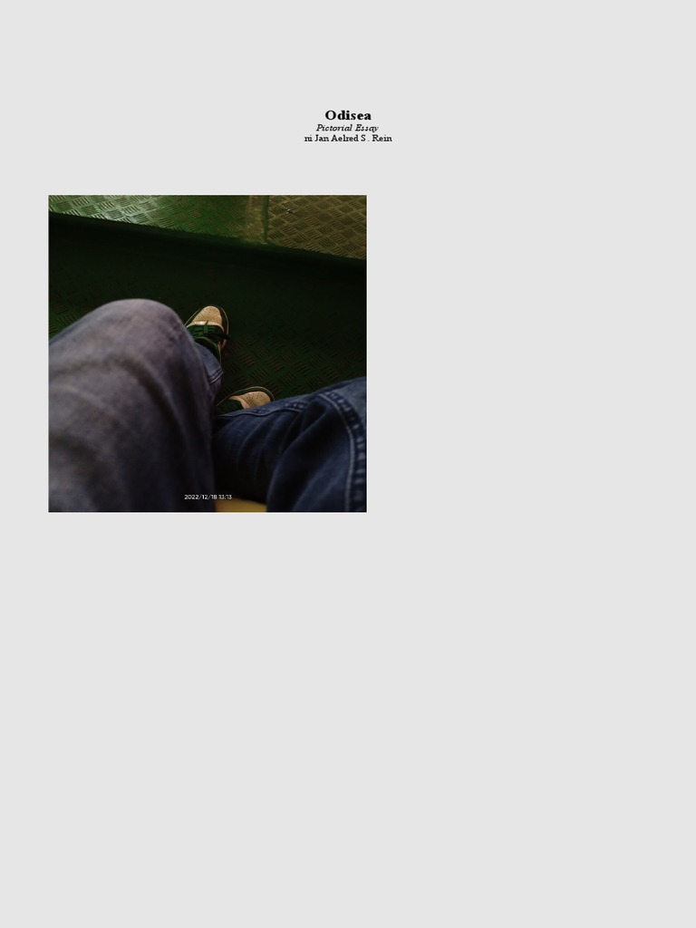 Pictorial Essay | PDF