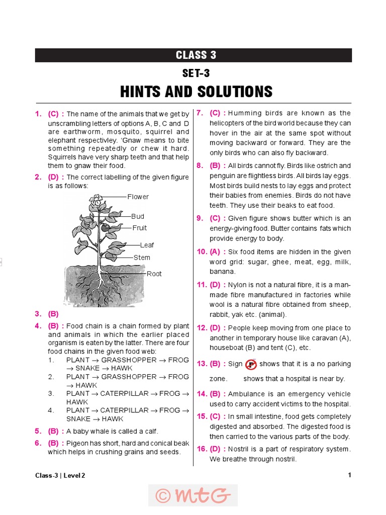 Class 3 Science Olympiad Q&A Key | PDF | Social Science | Science ...
