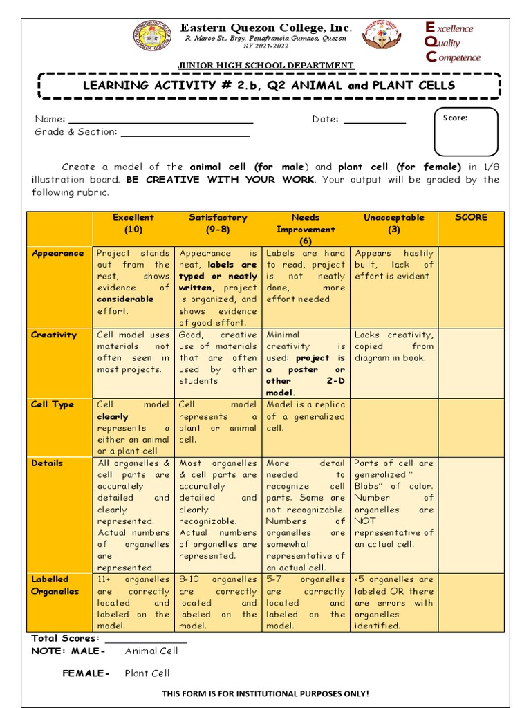 Performance Task | PDF | Cell (Biology) | Cognitive Science
