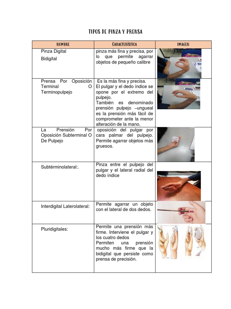 Tipos de Pinza y Prensa | PDF | Mano | Extremidades (anatomía) Tipos de Pinza y Prensa | PDF | Mano | Extremidades (anatomía)