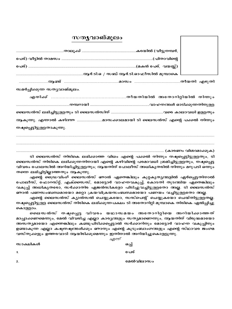Lisen Missing Affidavit | PDF