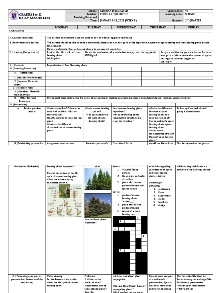DLL - Science 6 - Q2 - W8 | PDF | Seed | Plants