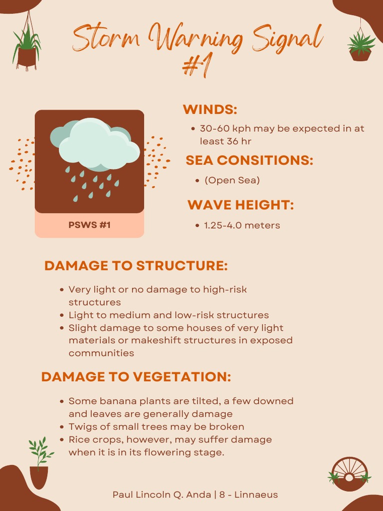 Paul Anda - Storm Warning SIgnal | PDF | Trees | Storms