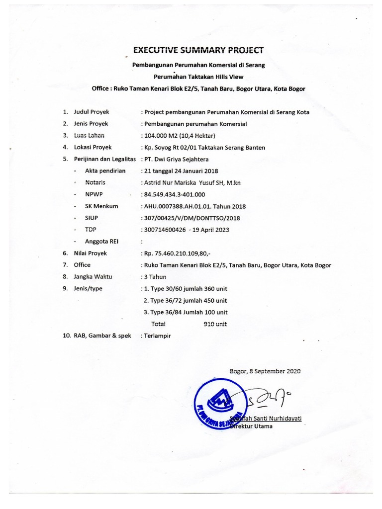 Executive Summary Dan RAB | PDF