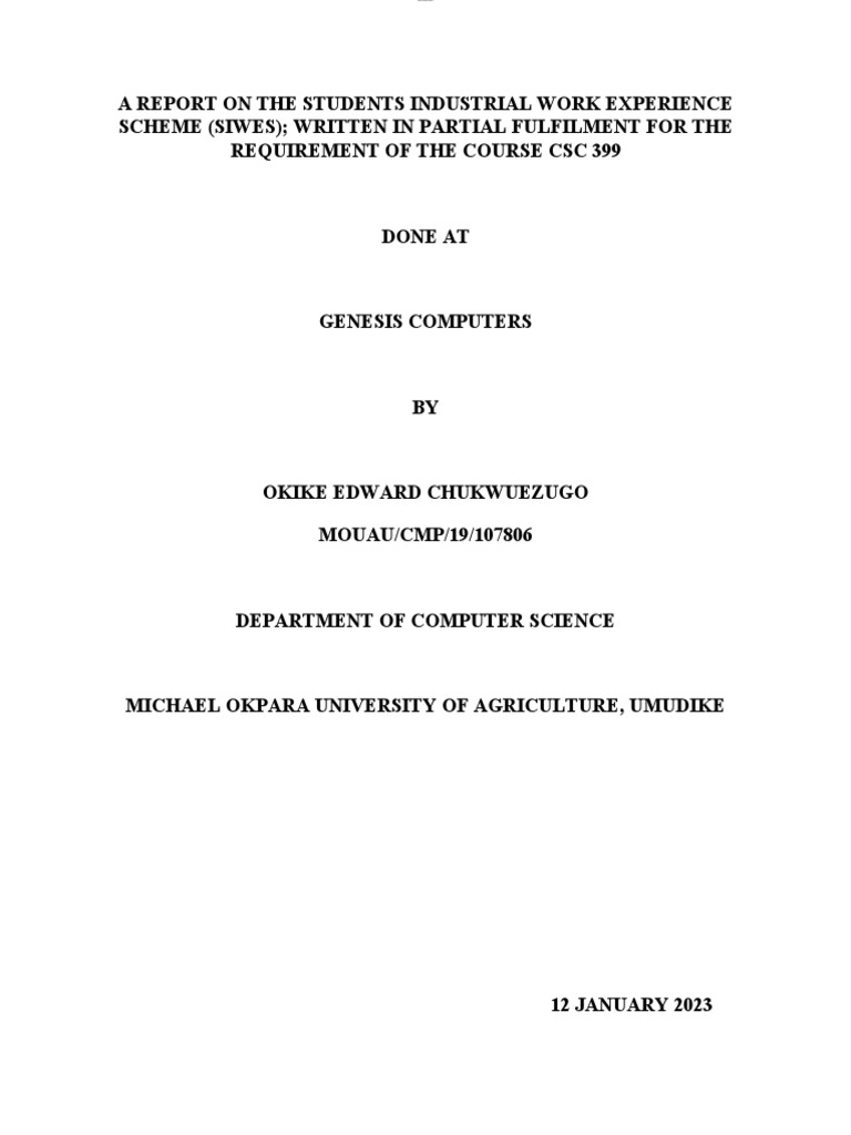 IT Report On Computer Business Centre | PDF | Microsoft Excel | Spreadsheet