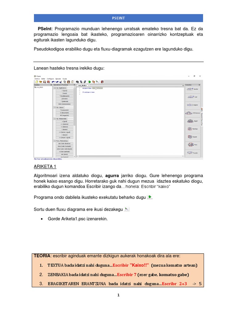 Pseint Apunte+Ariketak ORIGINALAK Retokauta | PDF